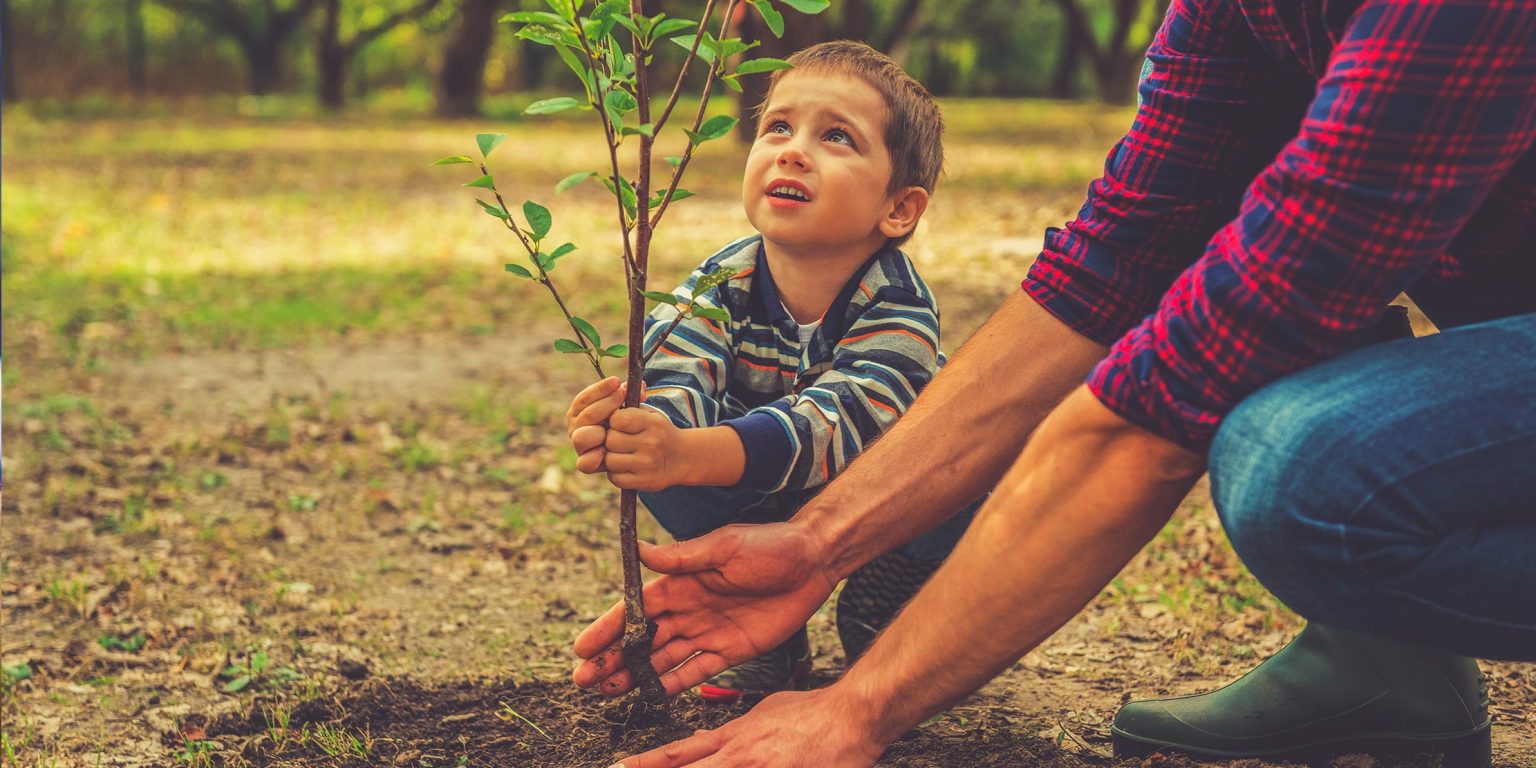 Home - LifeHouse Child Advocacy Center